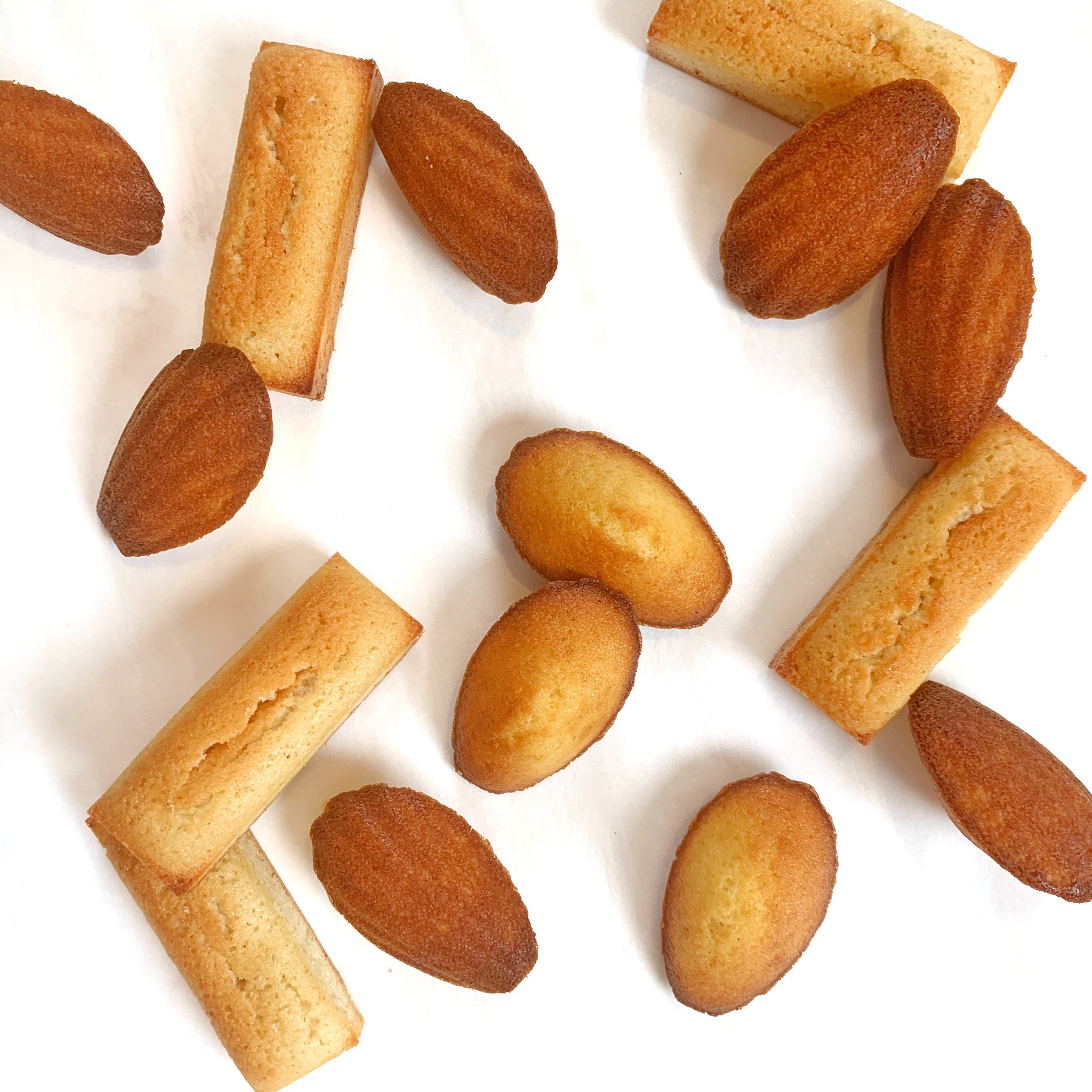 Madeleine Financier RedManShop Madeleine Financier RedManShop